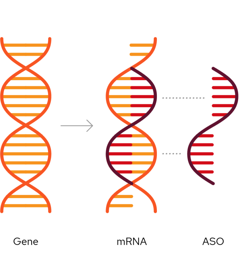 Our Science – n-Lorem